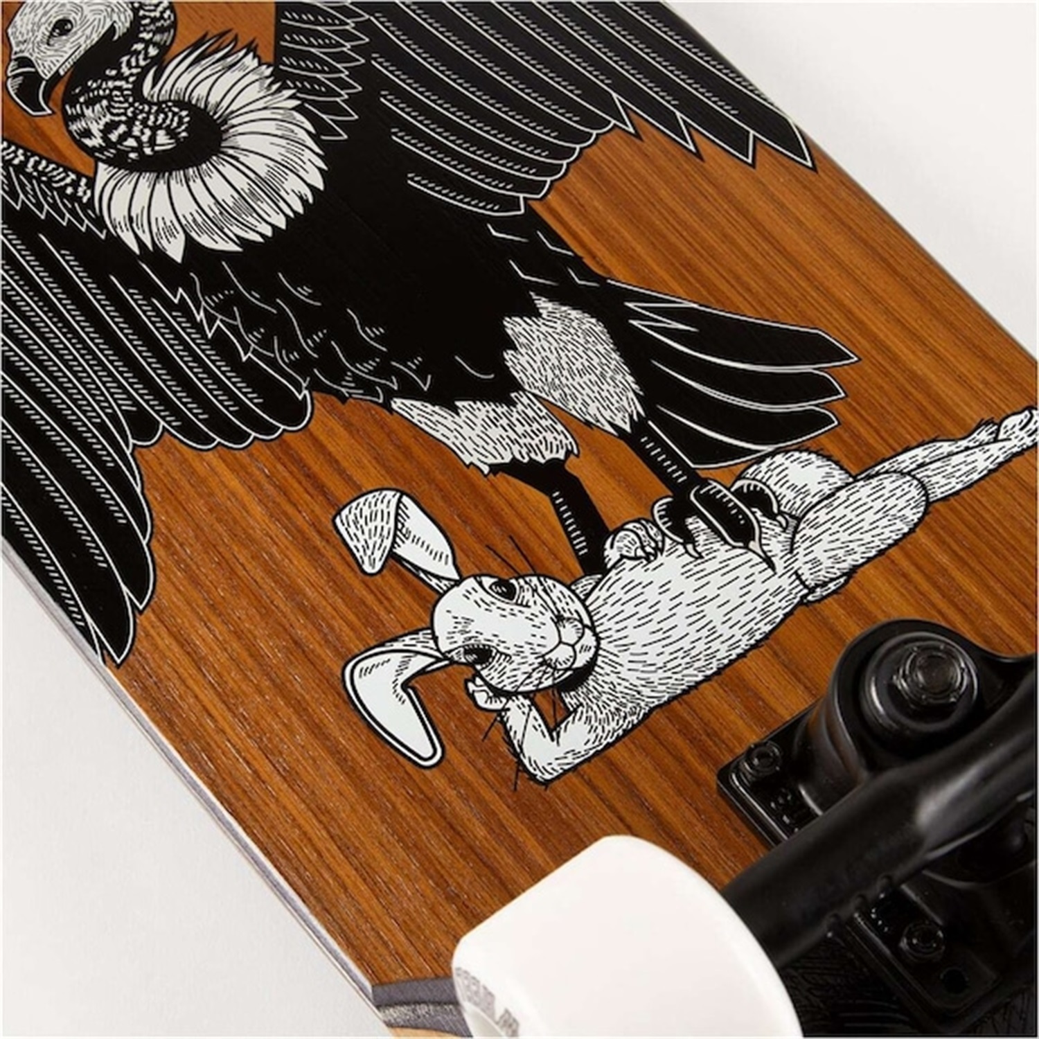 ロング スケートボード コンプリート SECTOR 9 セクターナイン CHOMP BRAND COLLABORATION CR20SD02 ...