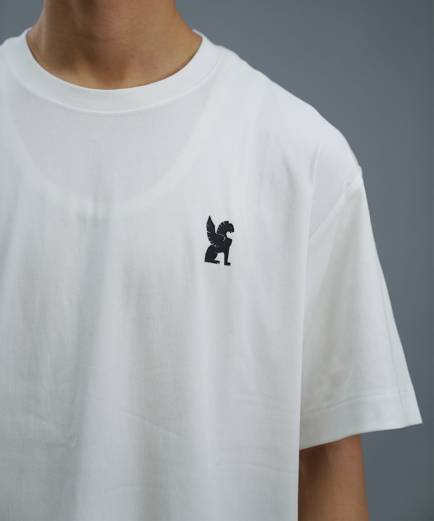 CHROME/クローム Limestone cave TEE Stacked logo ユーティリティ ルーズシルエット UVケア ビッグシルエット COVEROSS JP235 ショート ...