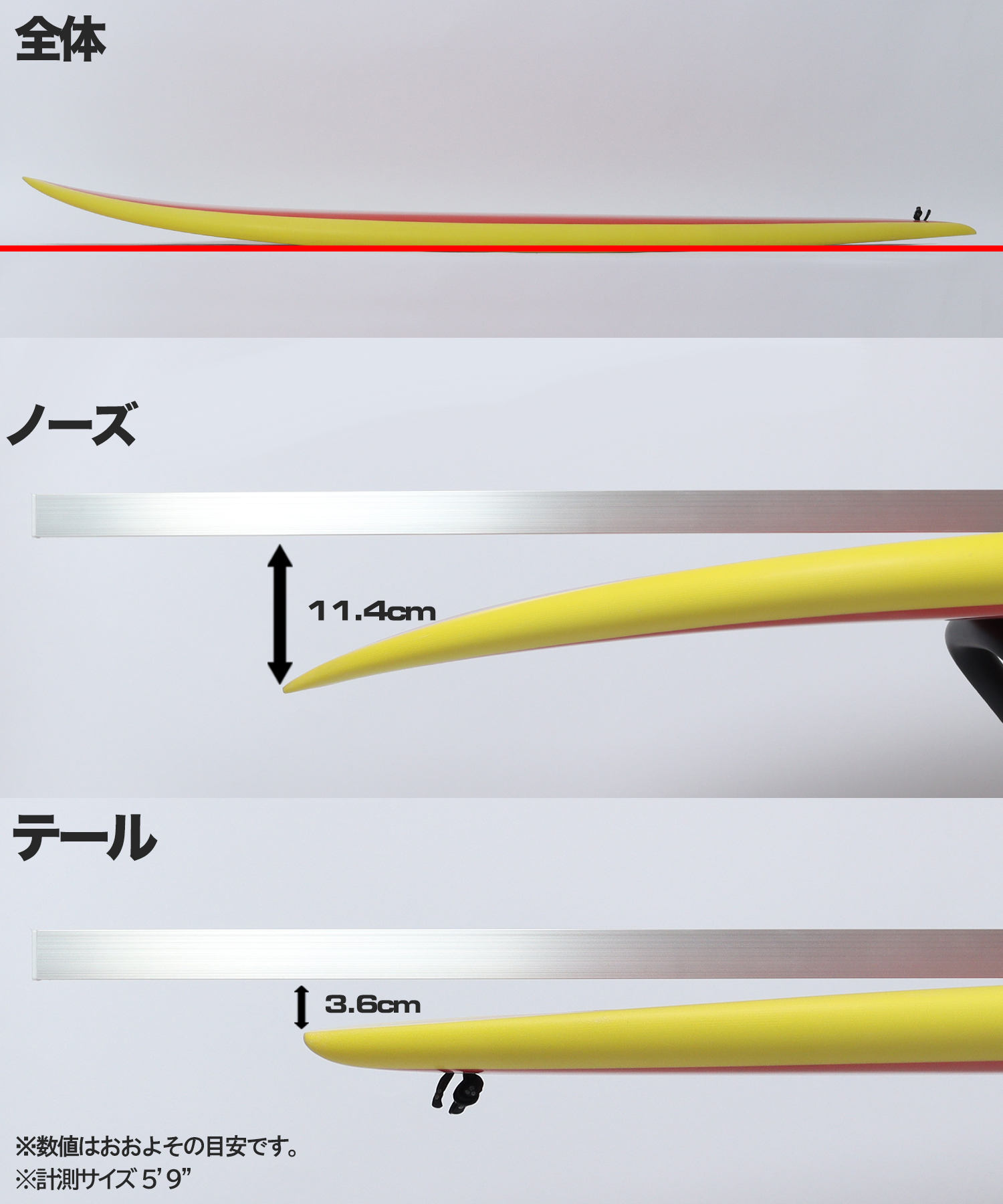 FEBS FISH|CHANNEL ISLANDS